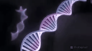 Dil Kanseri Ve Dil Kanserinden Korunma Yöntemleri! - KizlarSoruyor