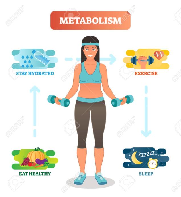 Nedir Ne Değildir? Metabolizma ve Bazal Metabolizma Hızı! - KizlarSoruyor