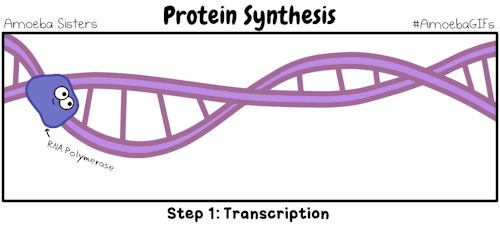 Biontech Aşısının DNA'ya Bağlanıp Genetik Yapımızı Değiştirdiği Doğru ...