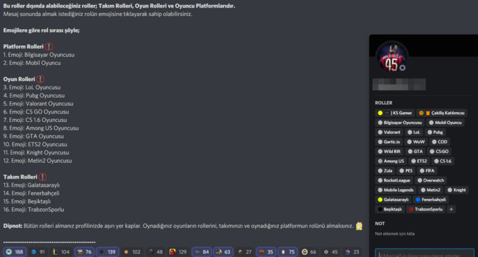 KS Gamerlar Discord Sunucusunda Hem Eğleniyoruz, Hem de Birlikte ...