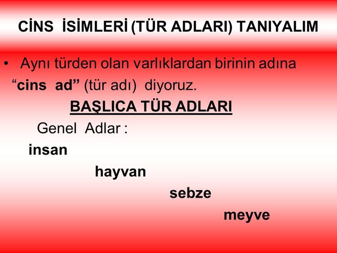 Türkçenin Kimi Zaman Kafa Karıştıran Konusu: Özel ve Cins İsimler ...