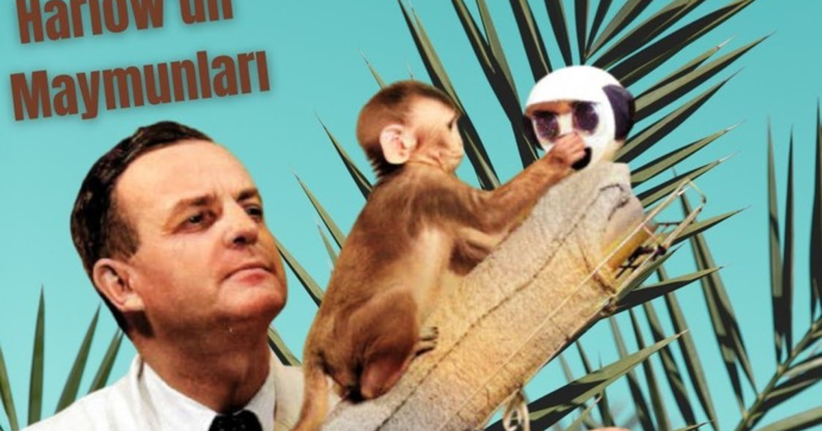 Sevgide Şefkatin Önemi, Harlow'un Maymun Deneyi - KizlarSoruyor