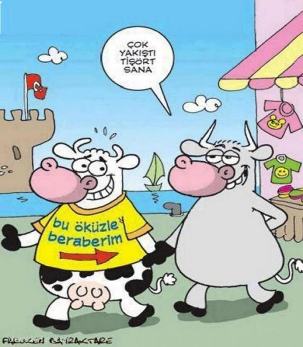 Sevgililer Günü Karikatürler