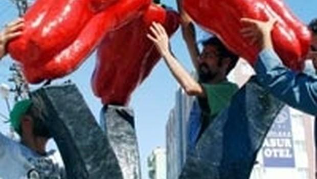 İsot Nedir? İsot Nasıl Yetiştirilir? İsot Nasıl Kullanılır?