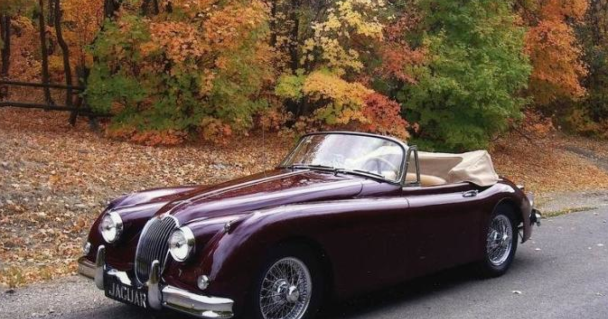 Klasik araba mı? Son model araba mı? - KizlarSoruyor