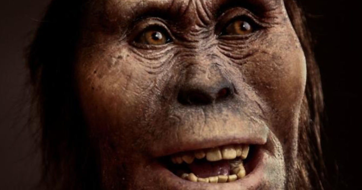 Merak ediyorum bu ilk insan zamanlarında erkekler, kıllı fazla gelişmiş ...