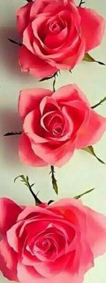 Sabırla inat etmek aynı şey midir? - KizlarSoruyor