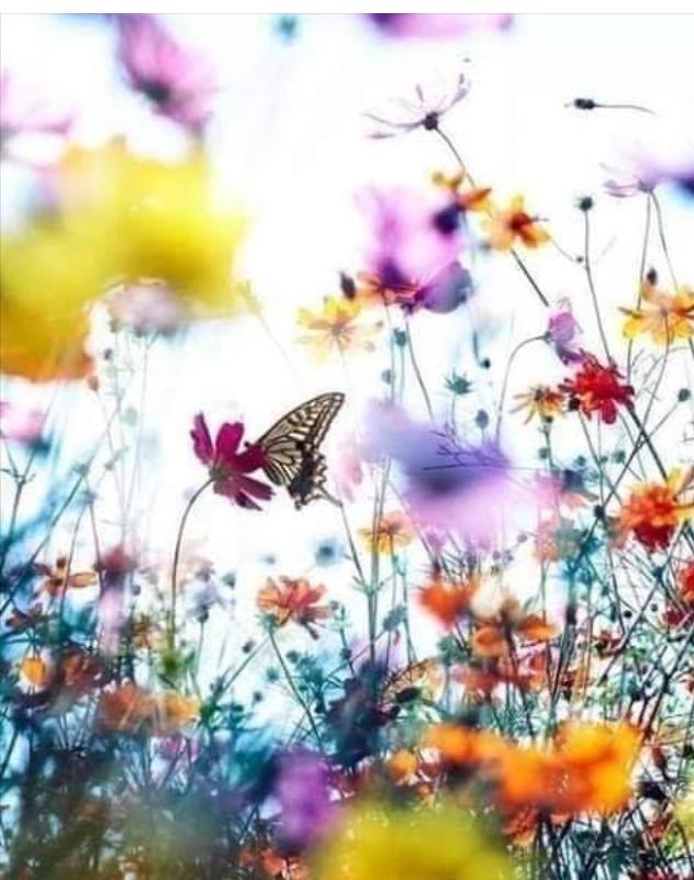 Sabırla inat etmek aynı şey midir? - KizlarSoruyor