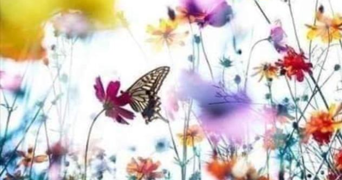 Sabırla inat etmek aynı şey midir? - KizlarSoruyor