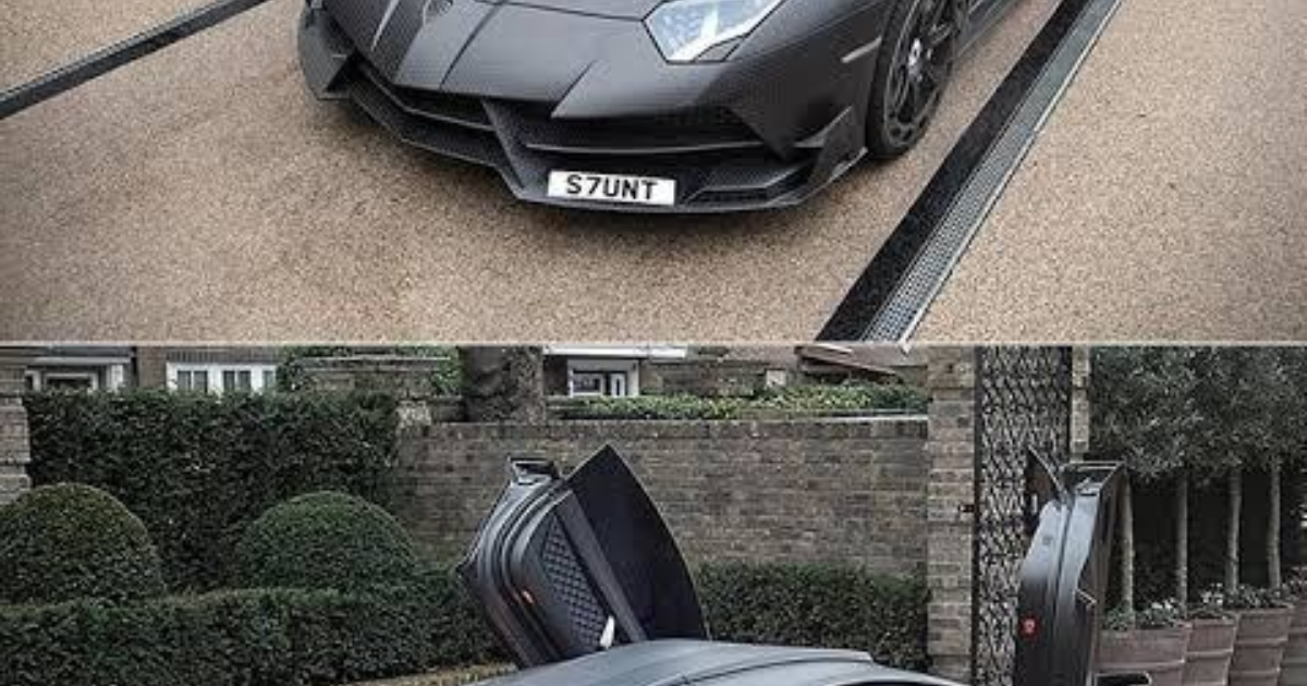 TESLA mı? LAMBO mu? FERRARI mi daha havalı? - KizlarSoruyor