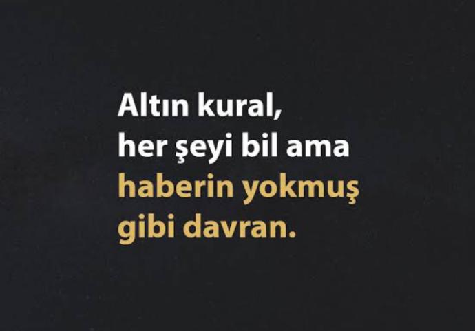 Herşeyi Bil Haberin Yokmuş Gibi Davran Sizce Doğru Bir Davranış Mı Kizlarsoruyor