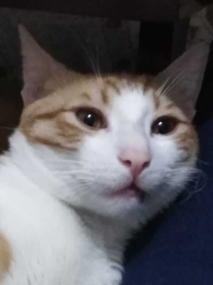 Tunaydınnn nabersiniz bebeklerim? aslanımla yakışıyor muyuzzz ...