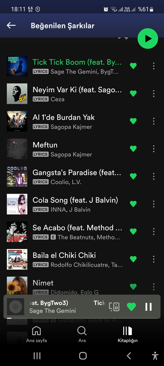 Spotify beğenilen şarkılar bölümündeki ilk beş şarkınızı alabilir miyiz? - KizlarSoruyor