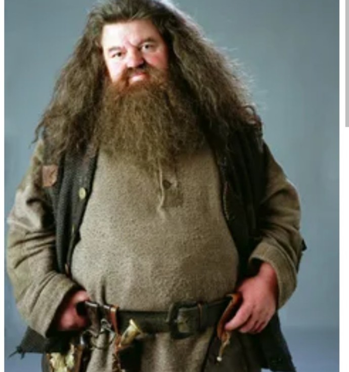 Rubeus Hagrid öldü? - KizlarSoruyor