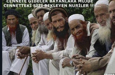 Sizce cennette bize verilcek olan nuriler ve huriler neye benziyodur ...