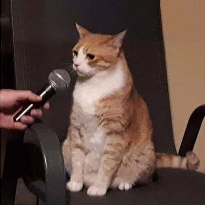 Ölmek üzeresin, son sözünü alalım? - KizlarSoruyor