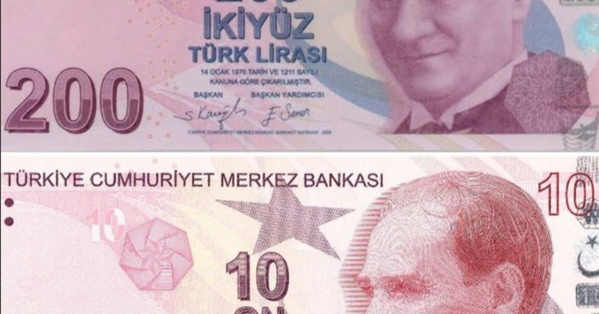 200 TL gün geçtikte düşüşe geçiyor, bu ekonomi nereye uçuyor ...