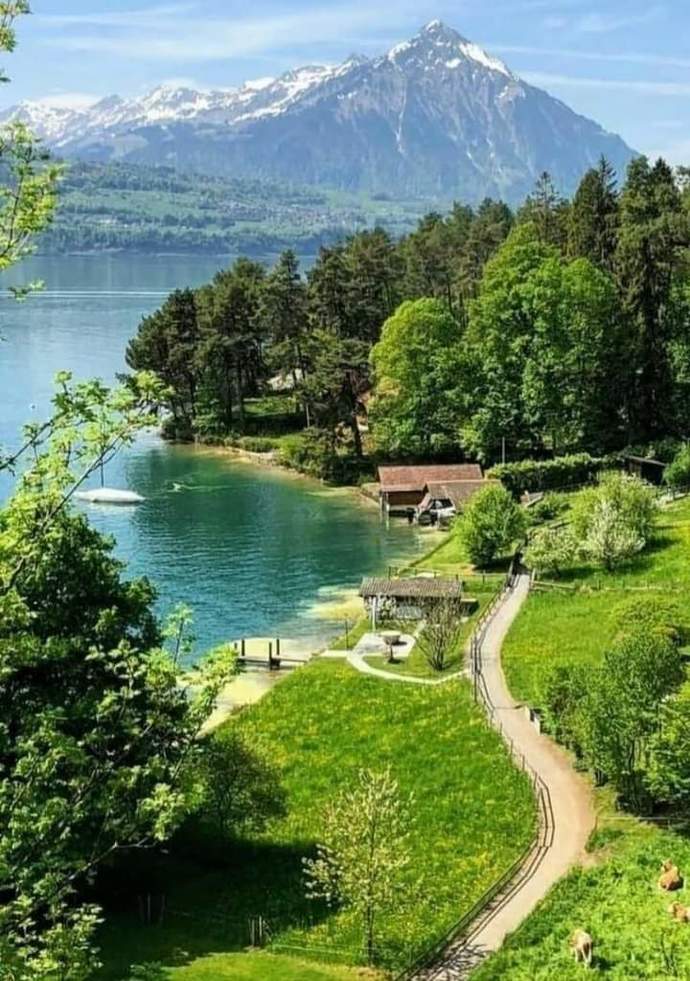 Çok paranız olsaydı ne yapardınız? - KizlarSoruyor