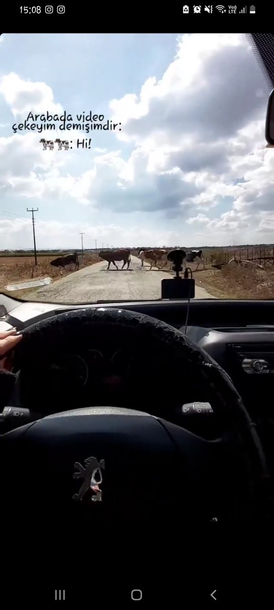 Arabada story atmak kekoluk mu? - KizlarSoruyor