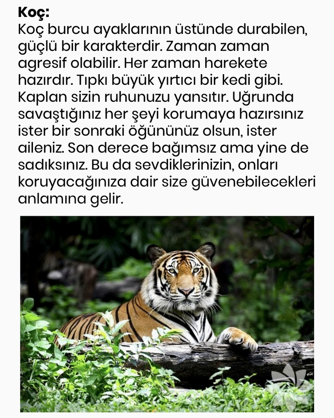 Burcun ve yükselen burcun hangi hayvanın özelliklerini yansıtıyor ...
