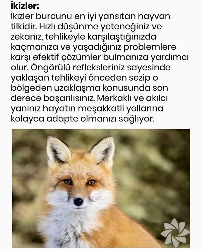 Burcun ve yükselen burcun hangi hayvanın özelliklerini yansıtıyor ...