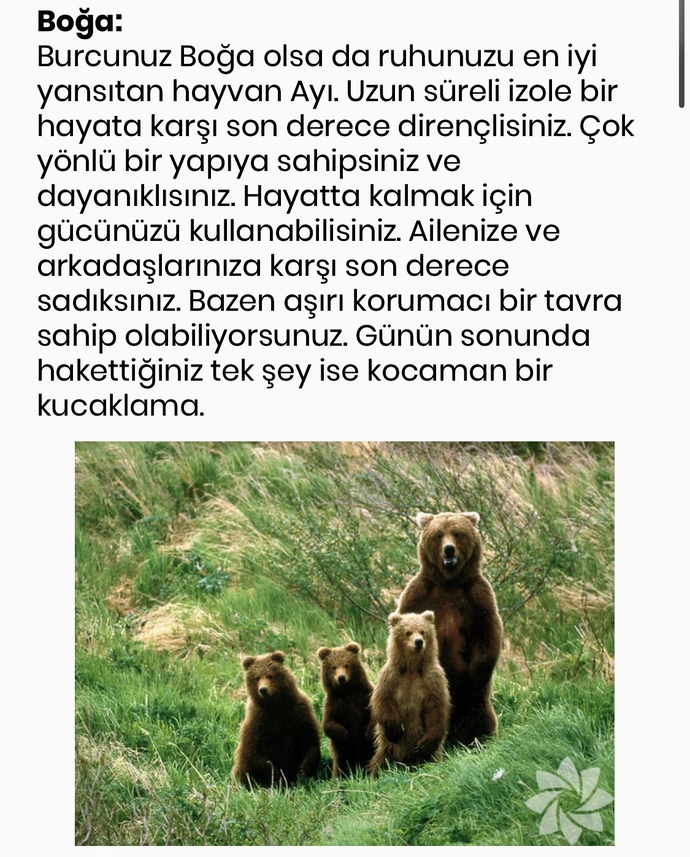 Burcun ve yükselen burcun hangi hayvanın özelliklerini yansıtıyor ...