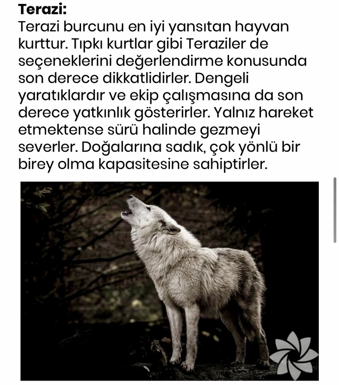 Burcun ve yükselen burcun hangi hayvanın özelliklerini yansıtıyor ...