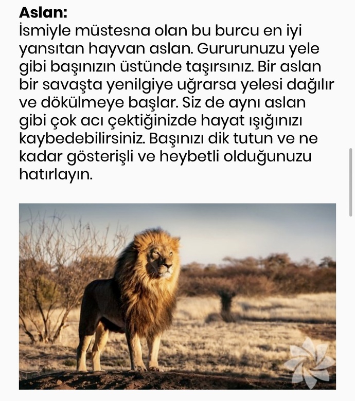 Burcun ve yükselen burcun hangi hayvanın özelliklerini yansıtıyor ...