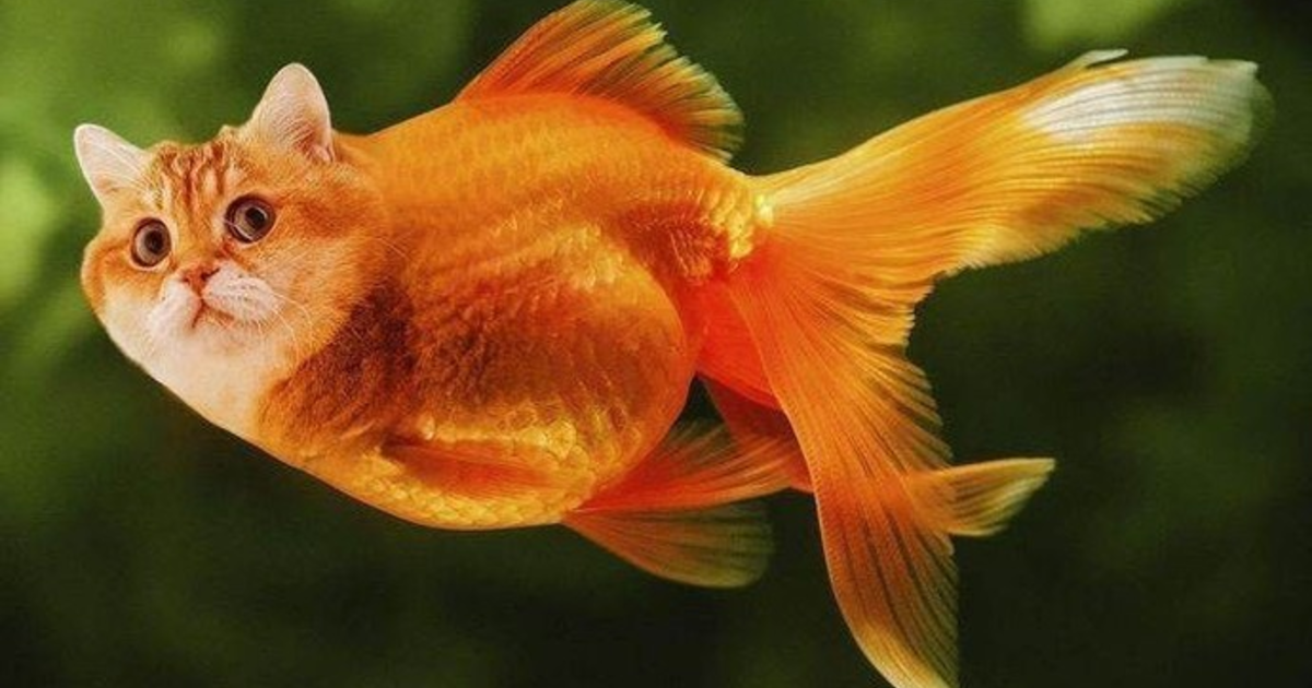 Yeni bir hayvan türü bulsan adını ne koyardın? - KizlarSoruyor