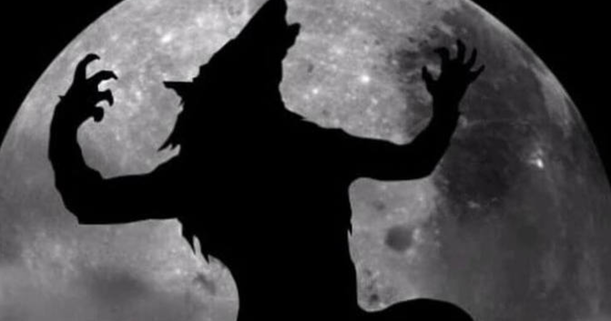 26 Ekim - Dünya Ay Işığında Kurt Gibi Uluma Günü. Uluyacak mısınız ...