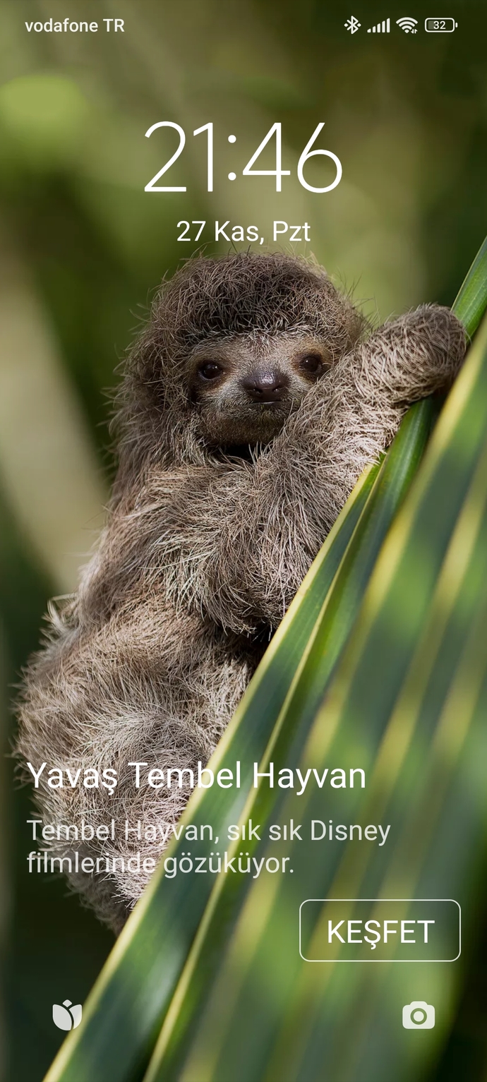 En güzel ekran fotoğrafını seçiyoruz! Bilgisayarının ya da telefonunun ...