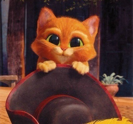 Görünce mutlu olduğunuz bir şey var mı? - KizlarSoruyor