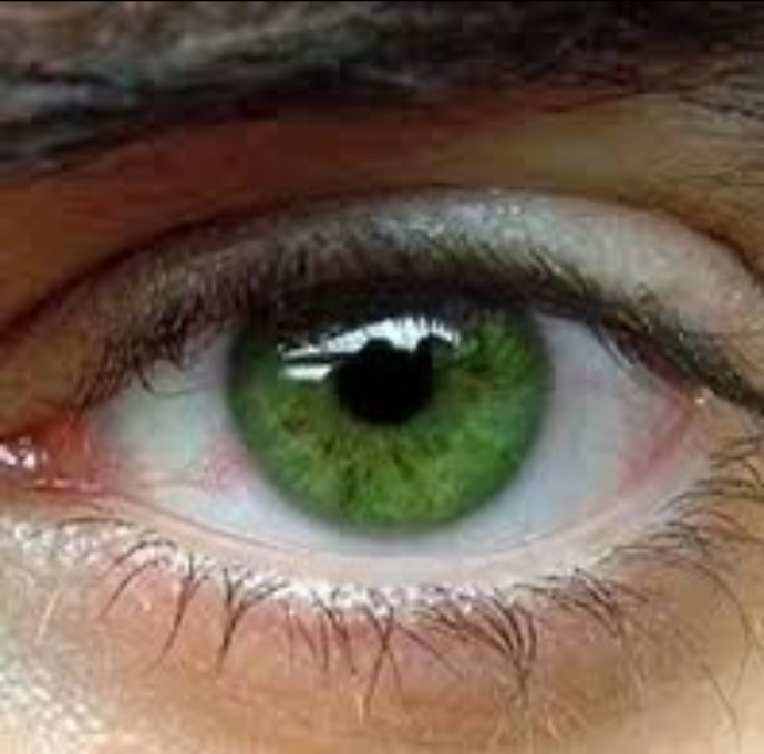 Hangi göz rengi daha çekici? Bal rengi mi gri mi yeşil mi? - KizlarSoruyor