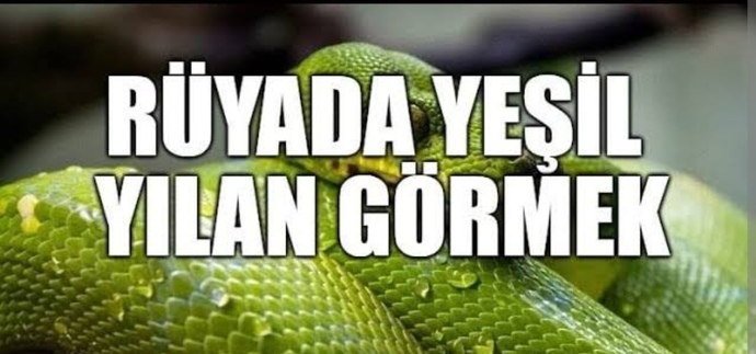 Rüyada bir sürü yeşil yılan görmek ne anlama geliyor? - KizlarSoruyor