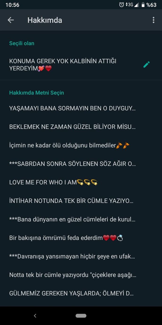 Şu anki WhatsApp durumunuzda ne yazıyor? - KizlarSoruyor