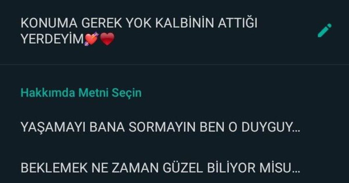Şu anki WhatsApp durumunuzda ne yazıyor? - KizlarSoruyor