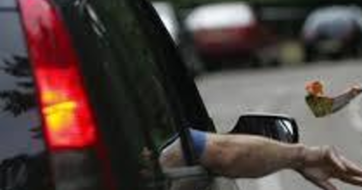 Yere çöp atan insanları uyarır mısınız? - KizlarSoruyor