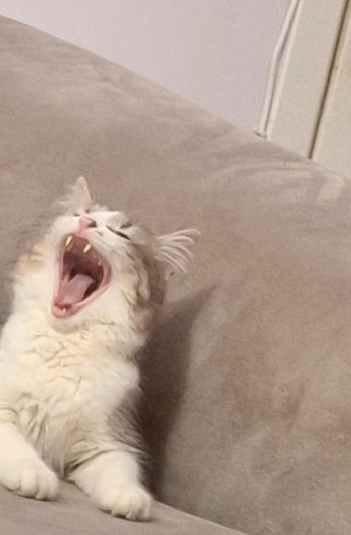 Neyi gördüğünde "işte benimki" diyorsun? - KizlarSoruyor