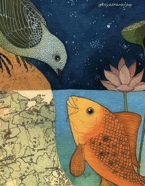 Bir balık bir kuşa aşık olursa, bu farklı dünyalar arasındaki aşk nasıl ...