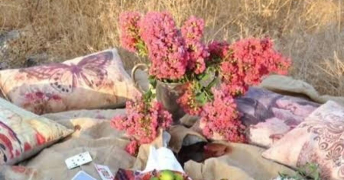 Pazar günü sizin için dinlenme günü mü, piknik günü mü? - KizlarSoruyor