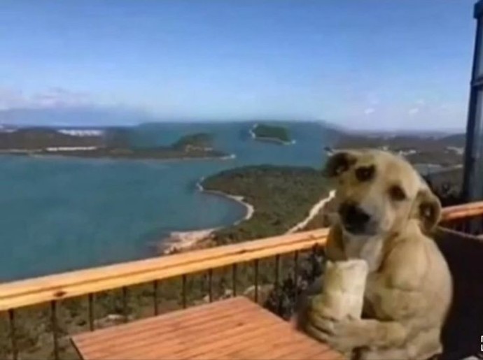 Eger bir meme olabilseydiniz, hangi meme olurdunuz göstereyim mi ...