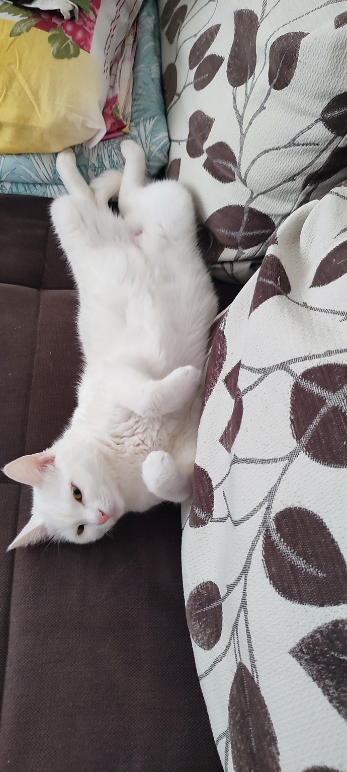 BBak şu zilliye? - KizlarSoruyor