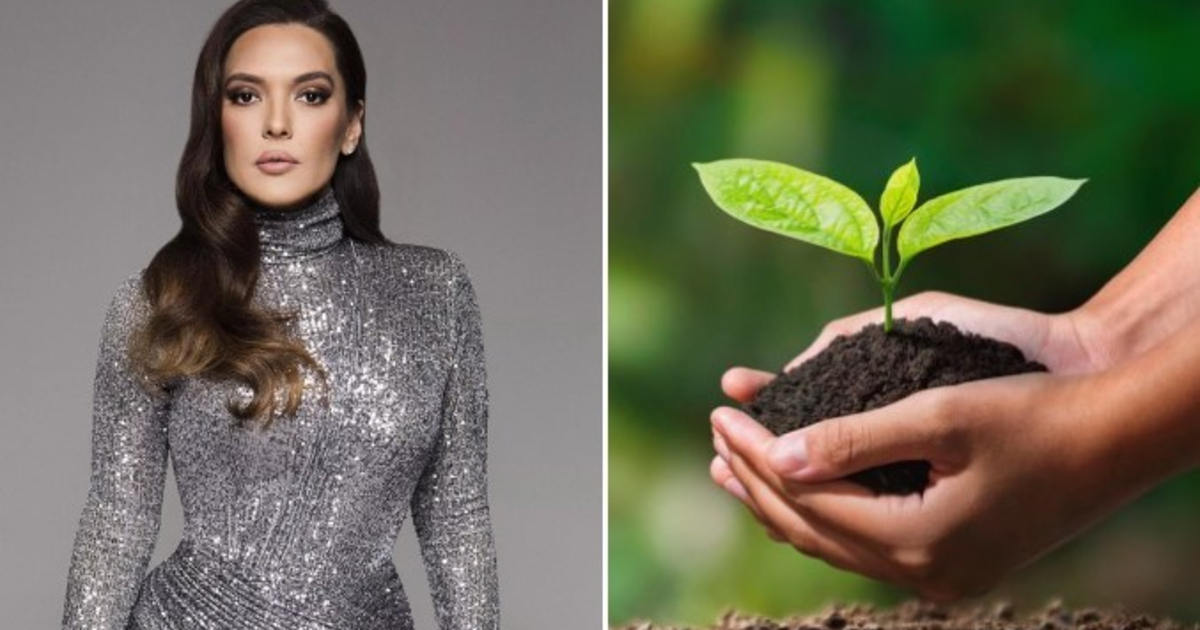 Demet Akalın: "Sanatçılar başta olmak üzere büyük fidan dikimi ...