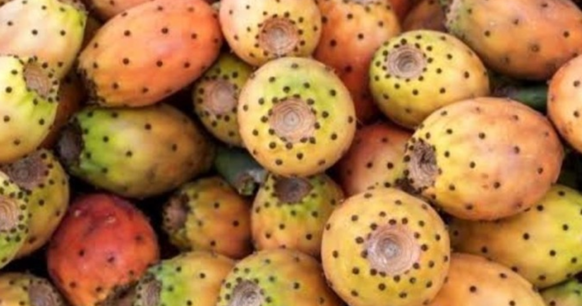 Ne olduğunu bilen var mı? - KizlarSoruyor