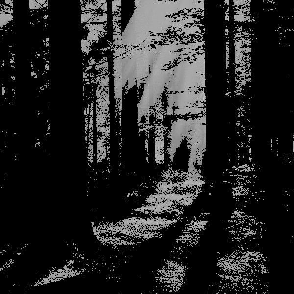 Hiçbir sinyalin bulunmadığı bir yerde kaybolduğunuzda sakinliğinizi ...