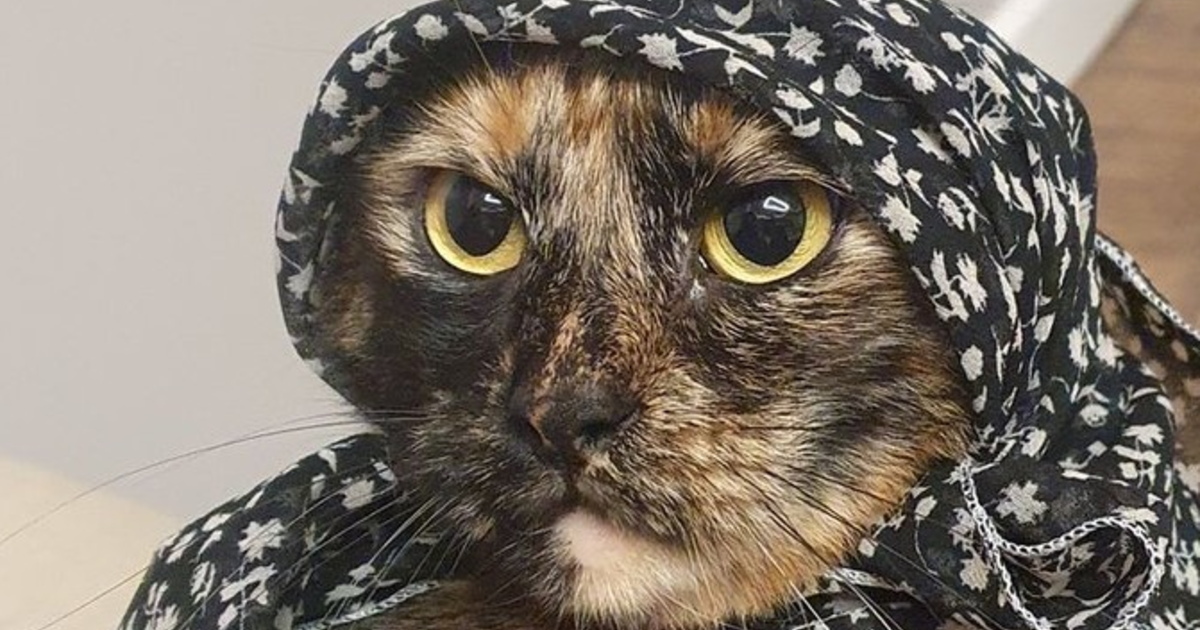 Ne kadar daha yaşamak isterdiniz? - KizlarSoruyor