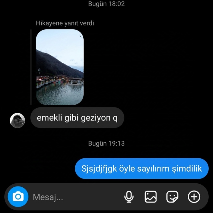 Gezen tavuk musunuz yoksa kümes tavuğu mu? - KizlarSoruyor