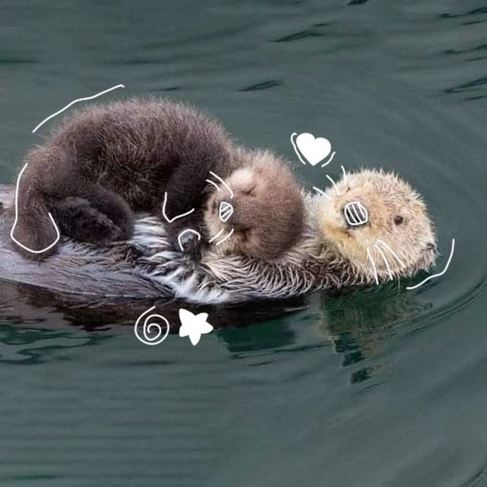 Bal borsuğu muuu yoksa Su samuru mu olur sizden, Söyliyim miiiii ...