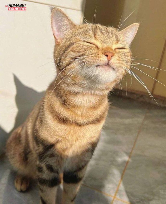 Cesaretimi tebrik eder misiniz? - KizlarSoruyor