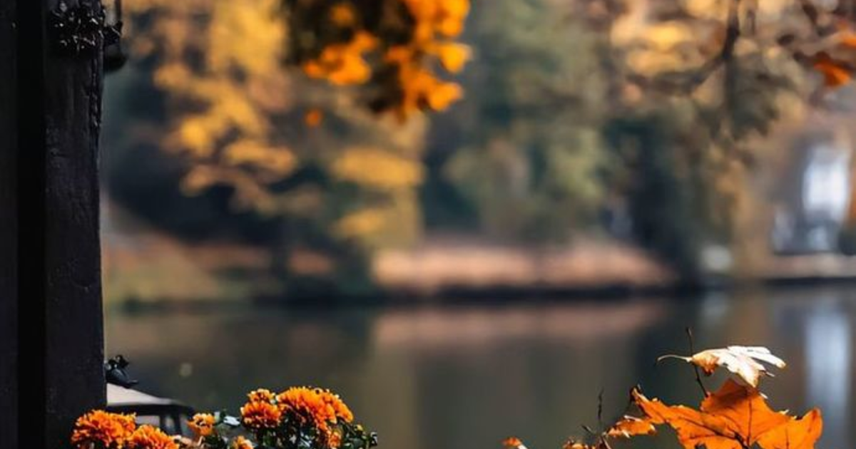 Sence en anlamlı sanat hediyesi ne olurdu? - KizlarSoruyor